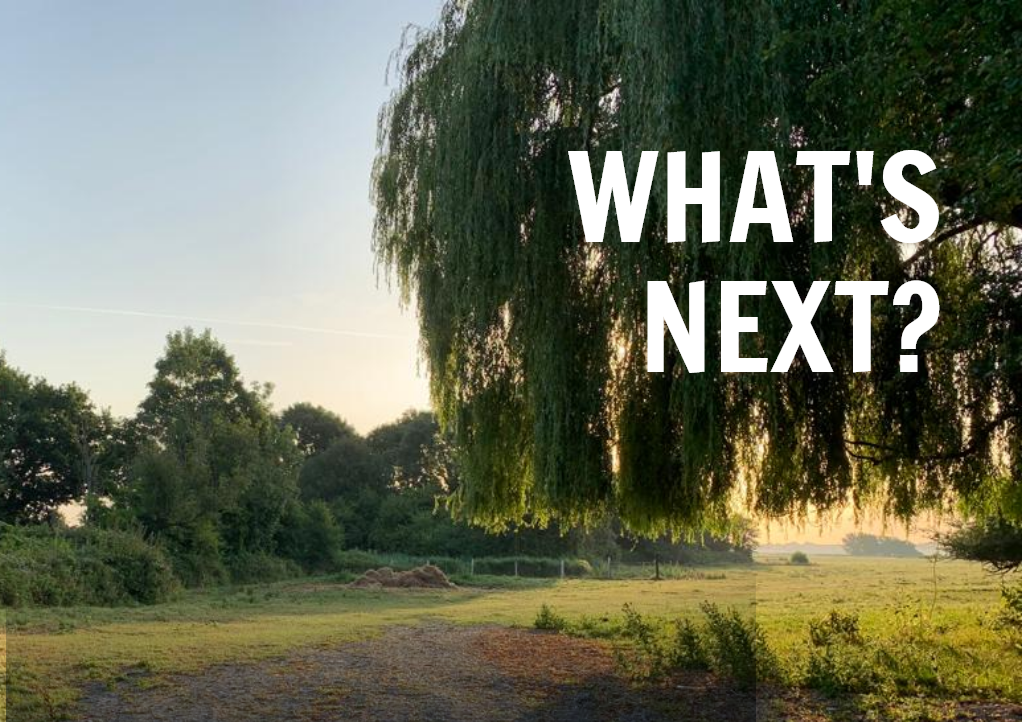 Your Help Is Needed: Find Our How You Can Help • Save Ash Level